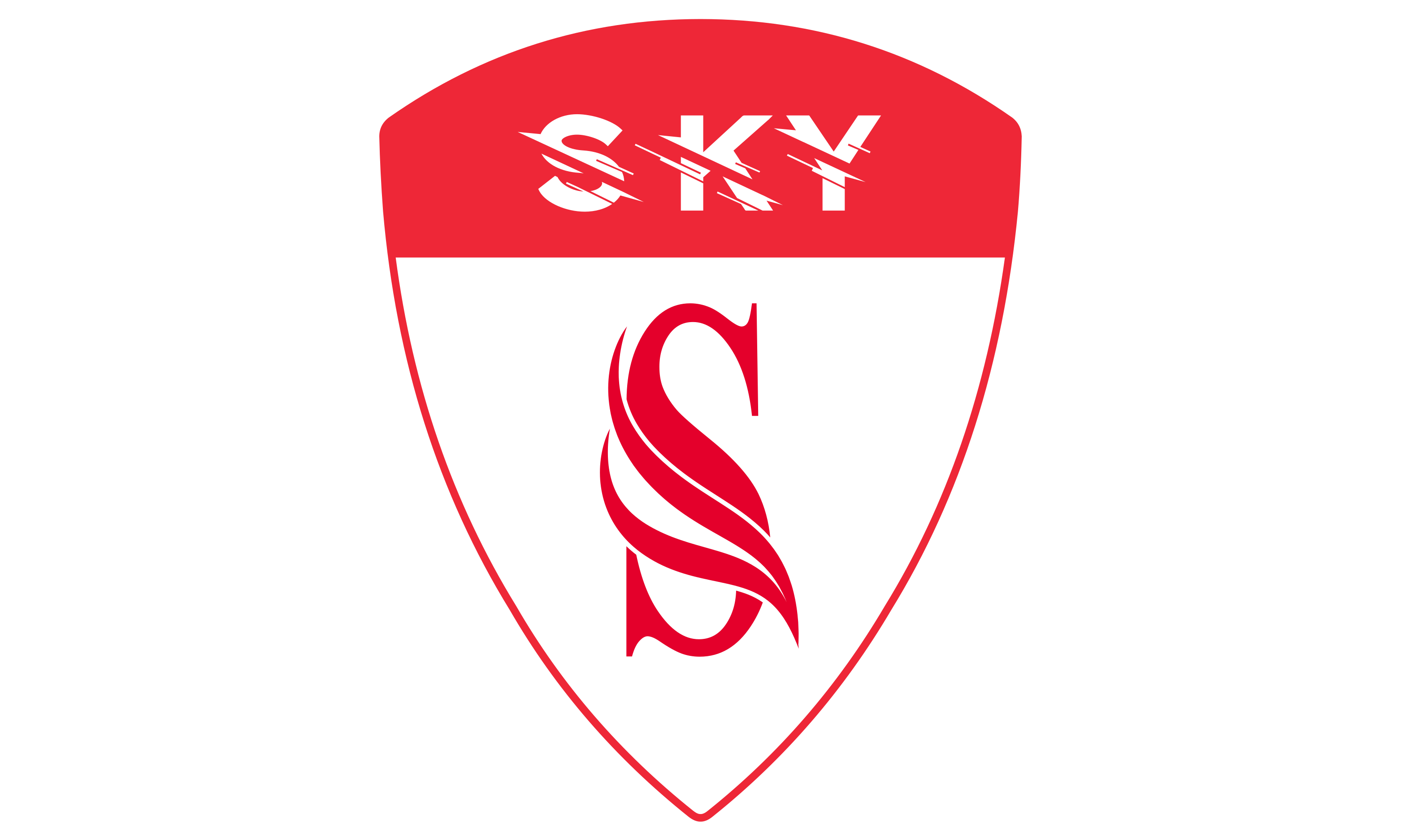 SKY OFFICIALS